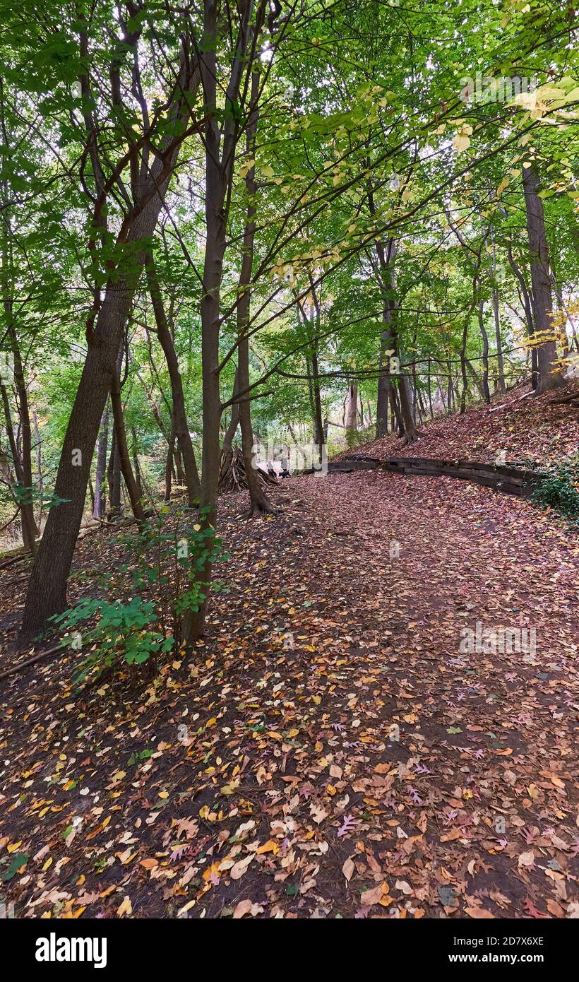 High Park, Toronto Stock Photo - Alamy