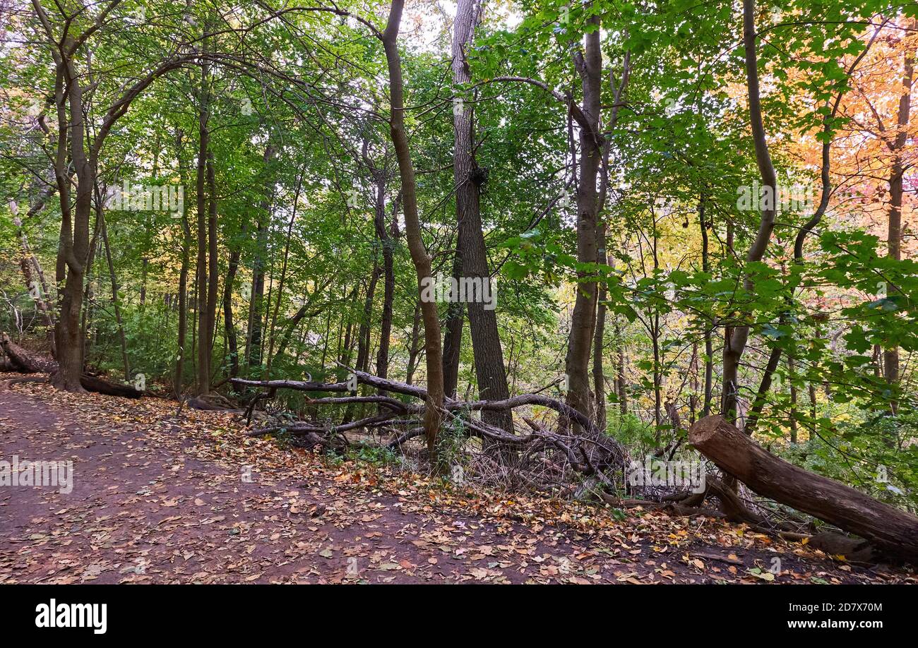 High Park, Toronto Stock Photo - Alamy