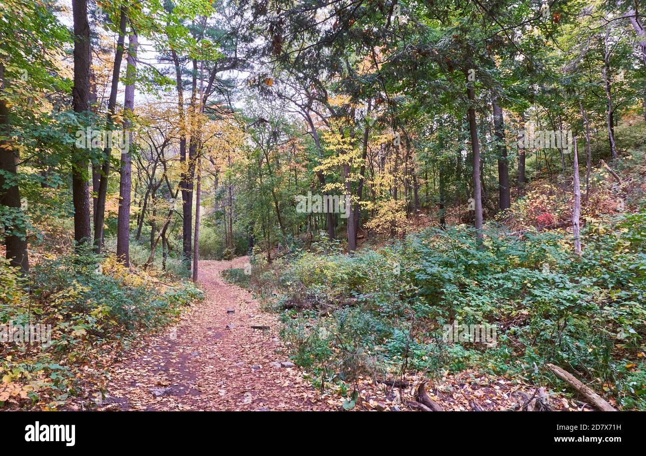 High Park, Toronto Stock Photo - Alamy
