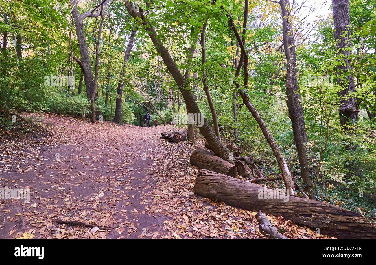 High Park, Toronto Stock Photo - Alamy