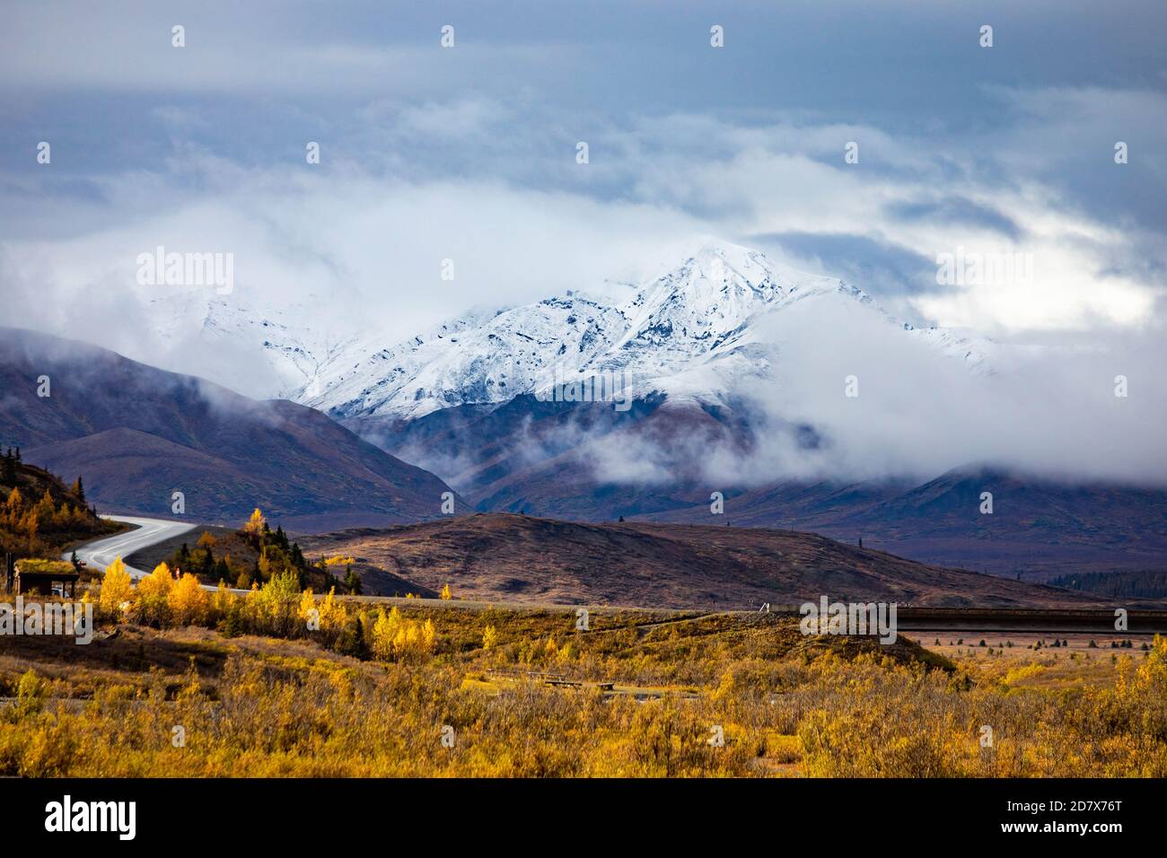 Denali national park view from Savage river Canyon trail at fall Stock ...
