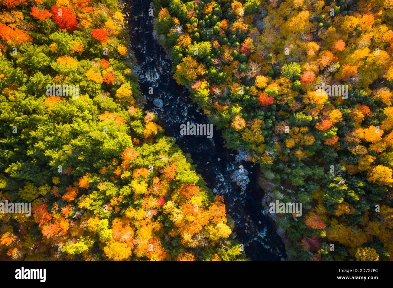 Aerial fall colors hi-res stock photography and images - Alamy