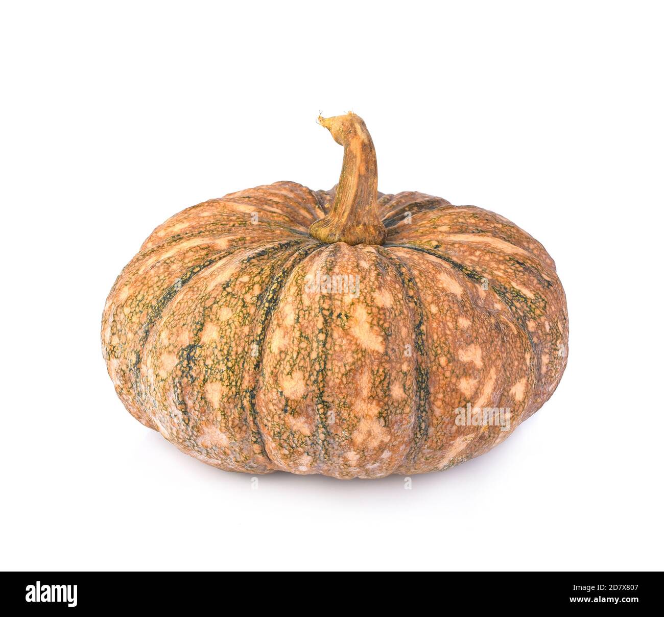 Botany cucurbitaceae field hi-res stock photography and images - Alamy