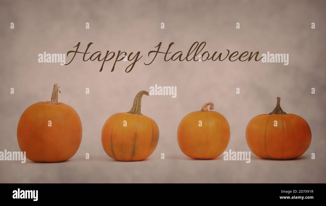 Isolated pumpkins with the text Happy Halloween. Banner or background ...