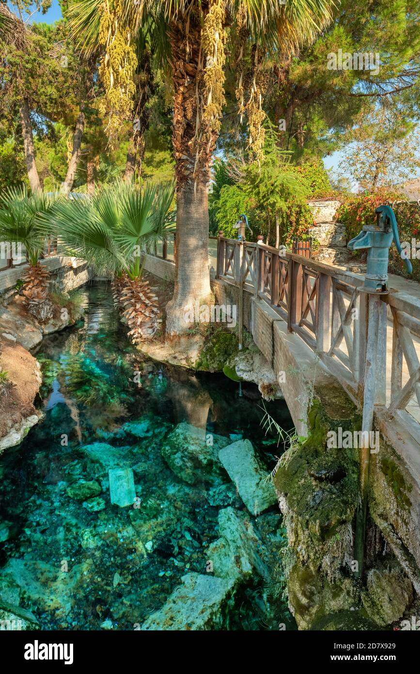 Antique Pool Pamukkale Turkey Pamukkale Hot Springs