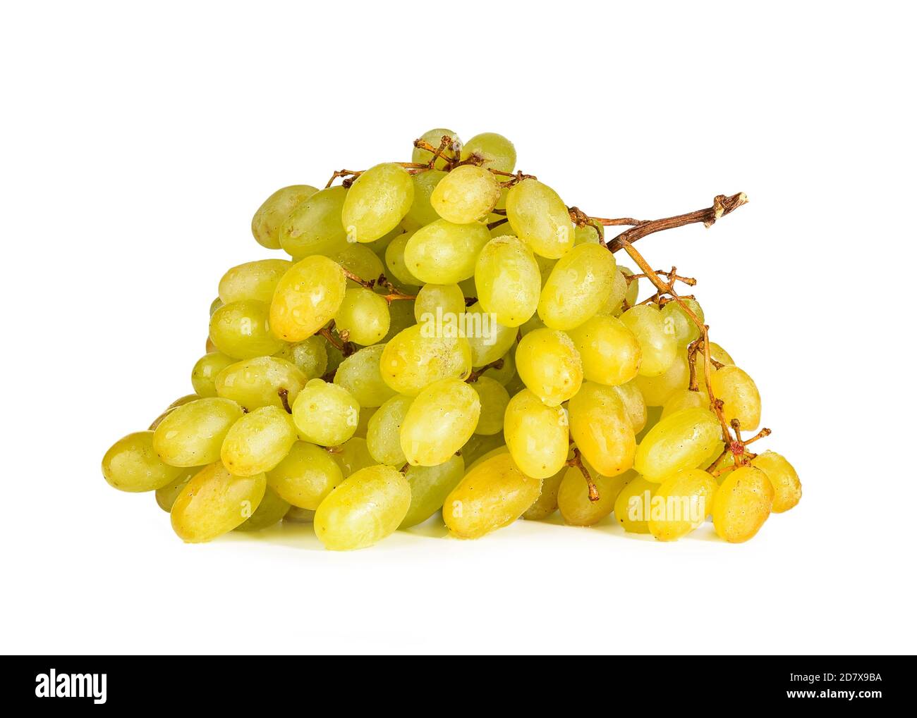 Yellow Grapes