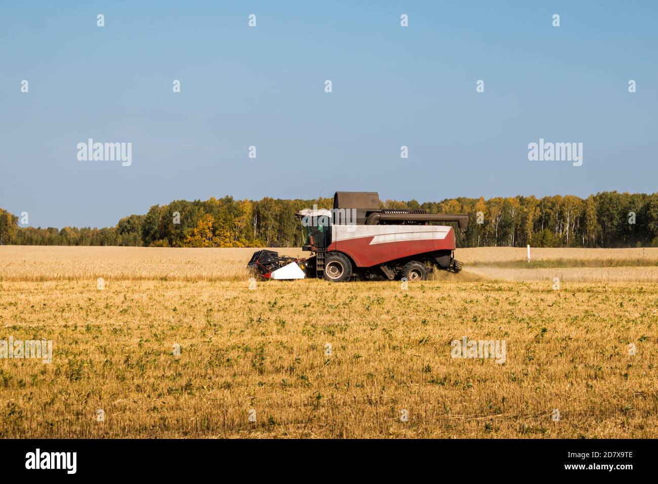 Combine harvests grain crops Stock Photo - Alamy