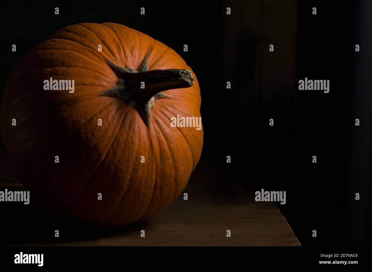 Still life pumpkin, chiaroscuro or baroque style halloween concept in a ...