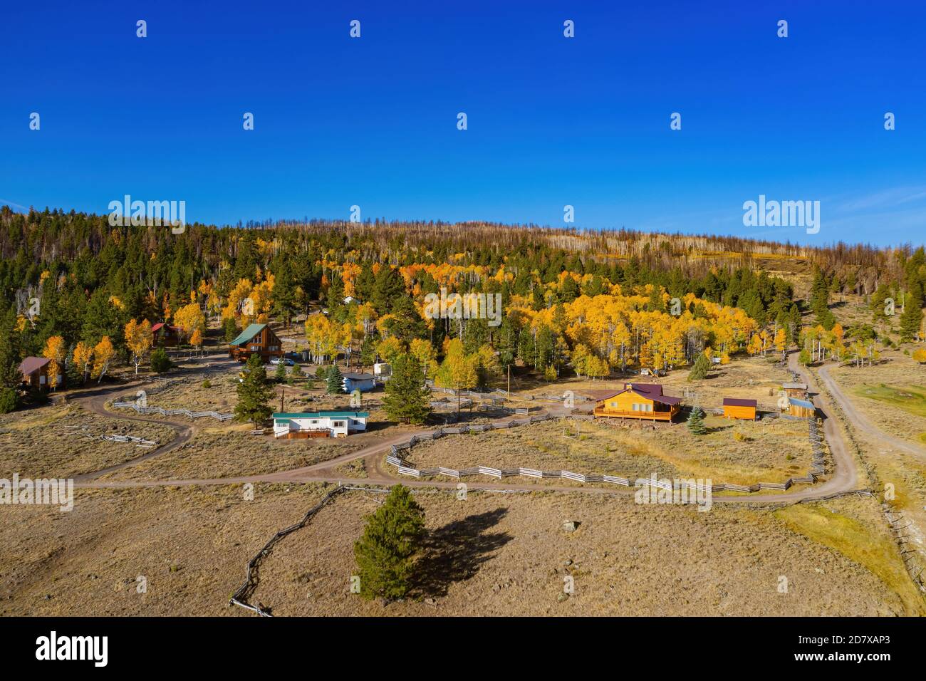 Aerial sunny view of the beautiful fall color around Dixie National ...