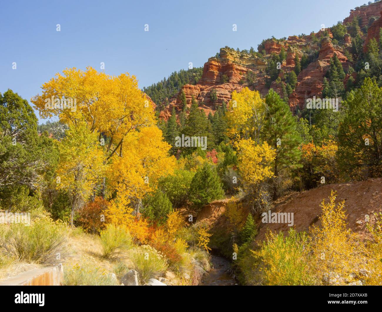 Beautiful autumn mountain canyon utah hi-res stock photography and ...