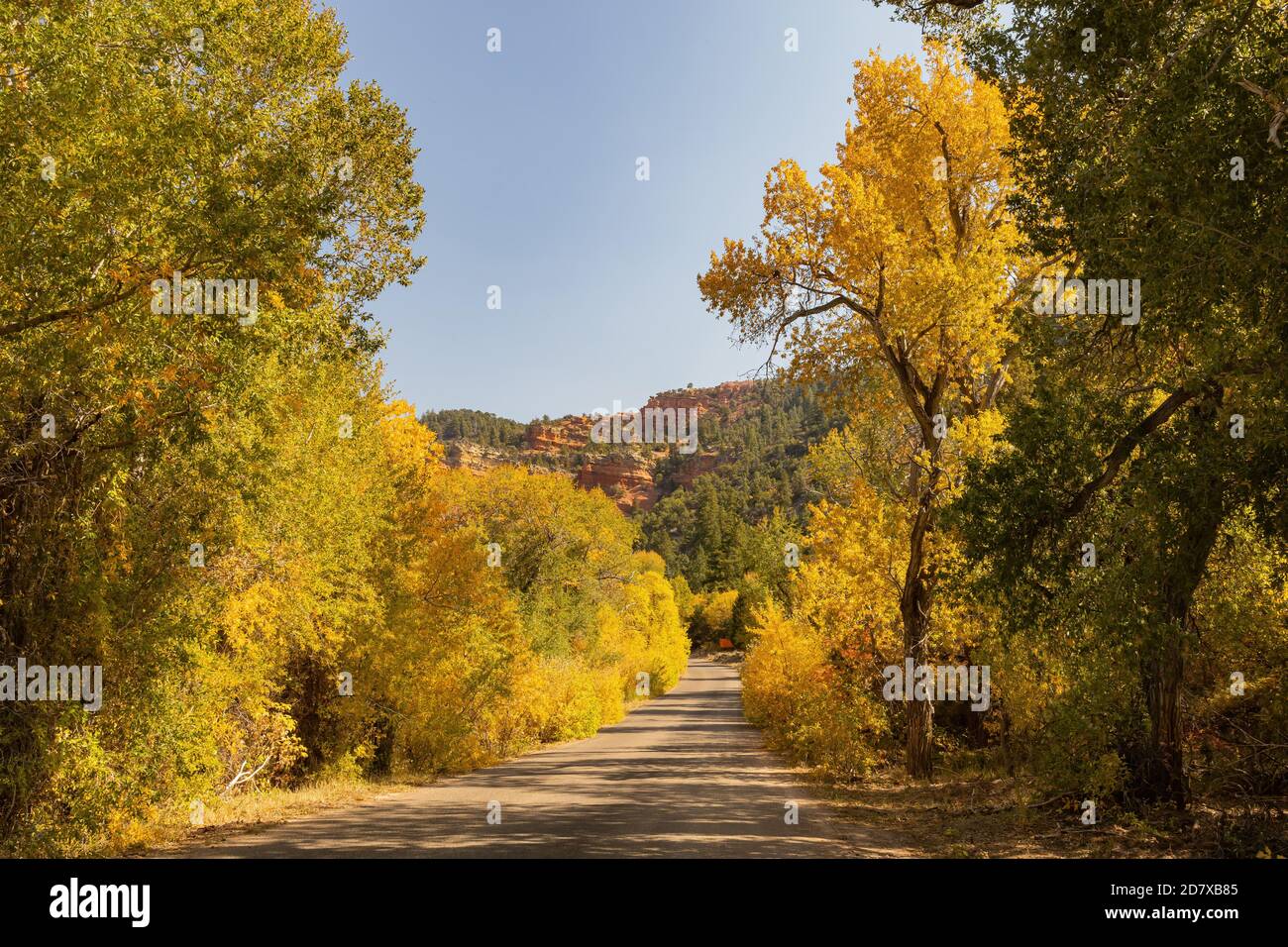 Beautiful autumn mountain canyon utah hi-res stock photography and ...
