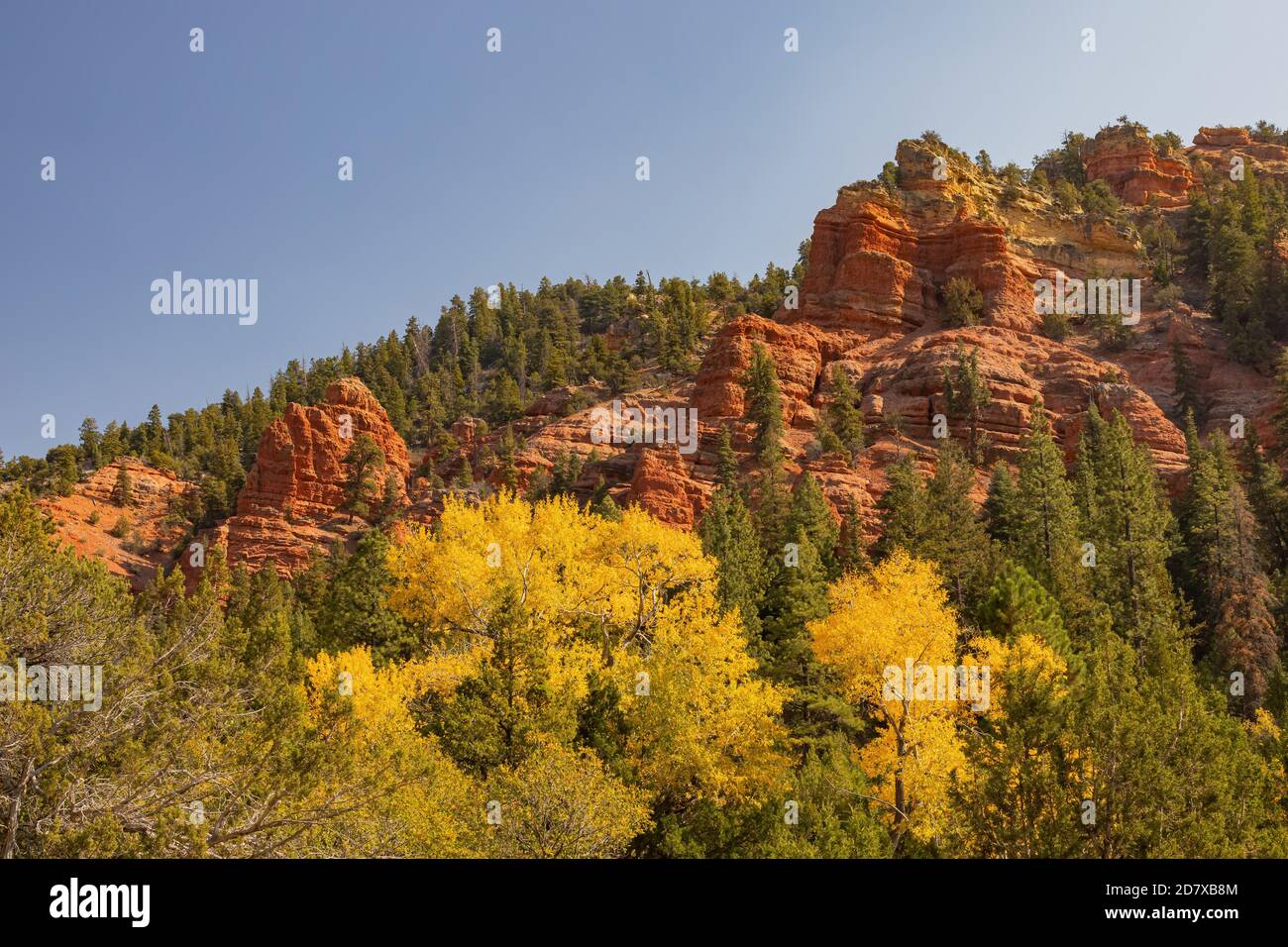 Sunny view of beautiful fall color around Parowan Canyon at Utah Stock ...