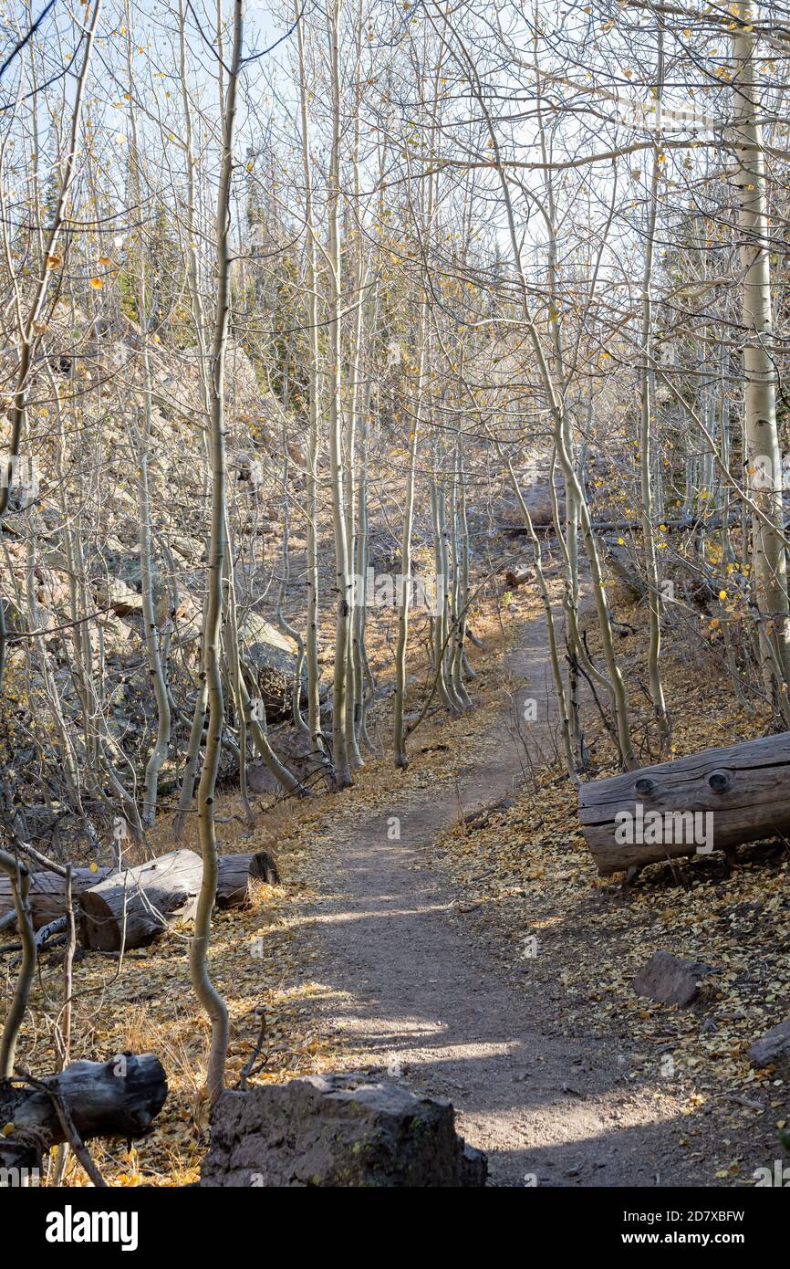 Alpine pond trail hi-res stock photography and images - Alamy