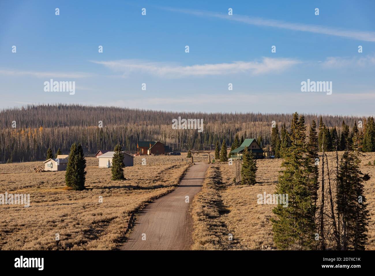 Sunny view of the beautiful rural landscape around Dixie National ...