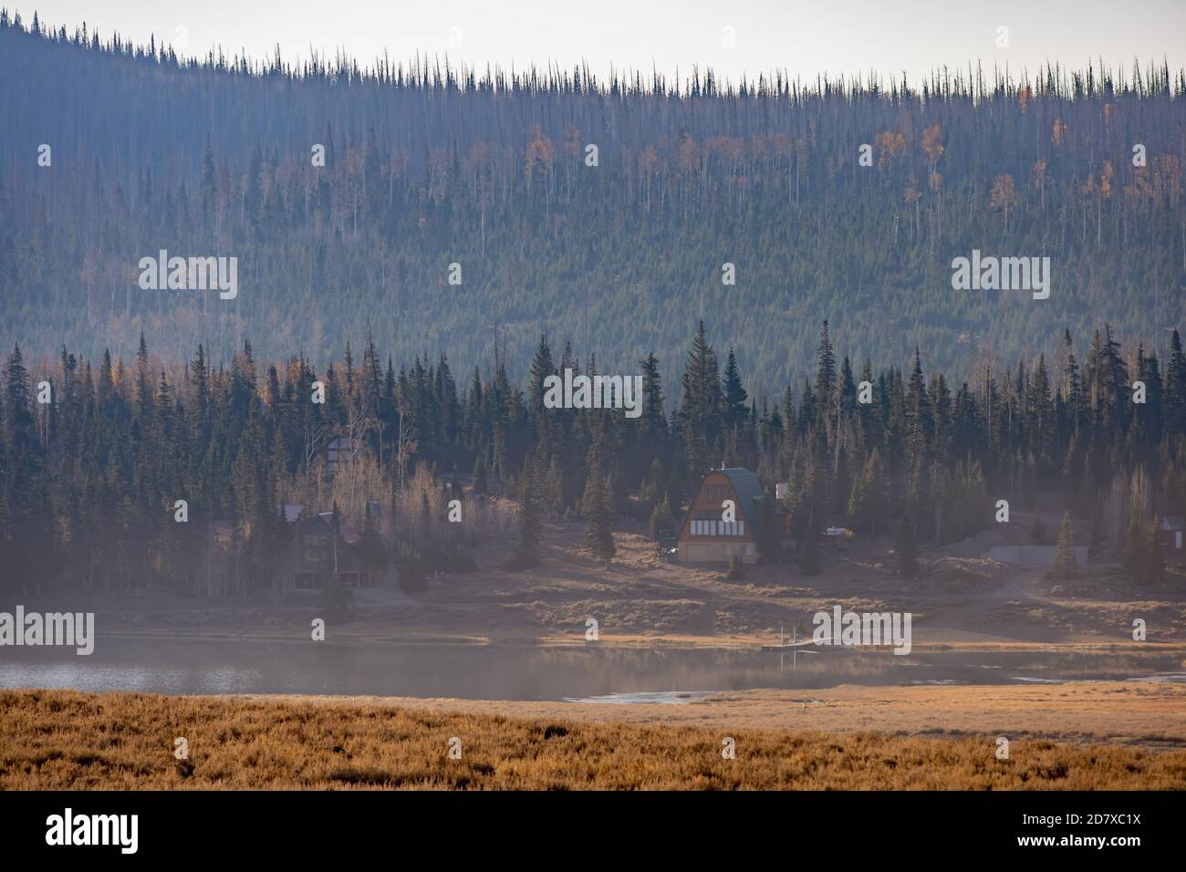 Sunny view of the beautiful rural landscape around Dixie National ...