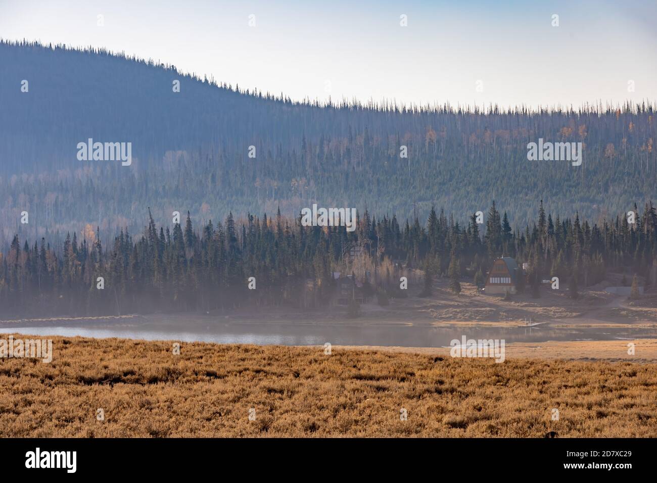 Sunny view of the beautiful rural landscape around Dixie National ...
