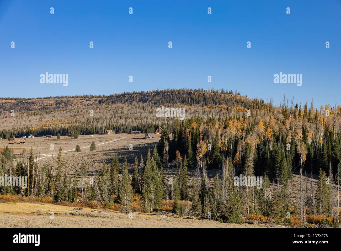 Sunny view of the beautiful fall color around Dixie National Forest at ...