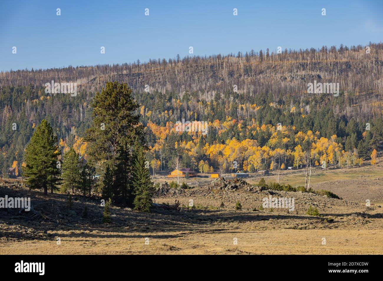Sunny view of the beautiful fall color around Dixie National Forest at ...