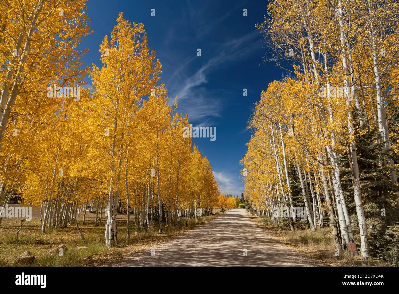 Strawberry point road hi-res stock photography and images - Alamy