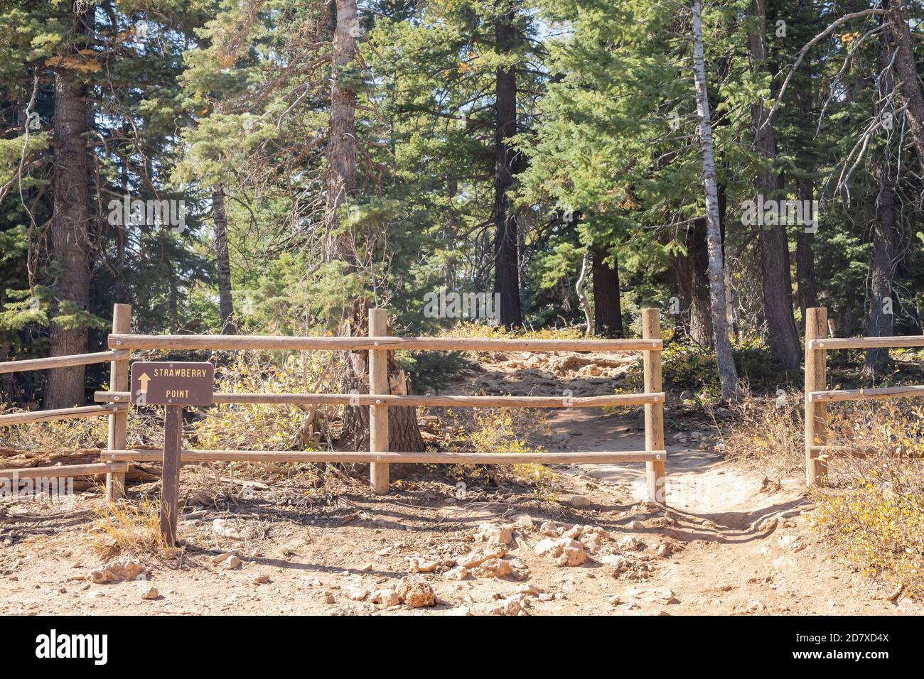 Strawberry Point Utah Cabins at Jenny Joshi blog
