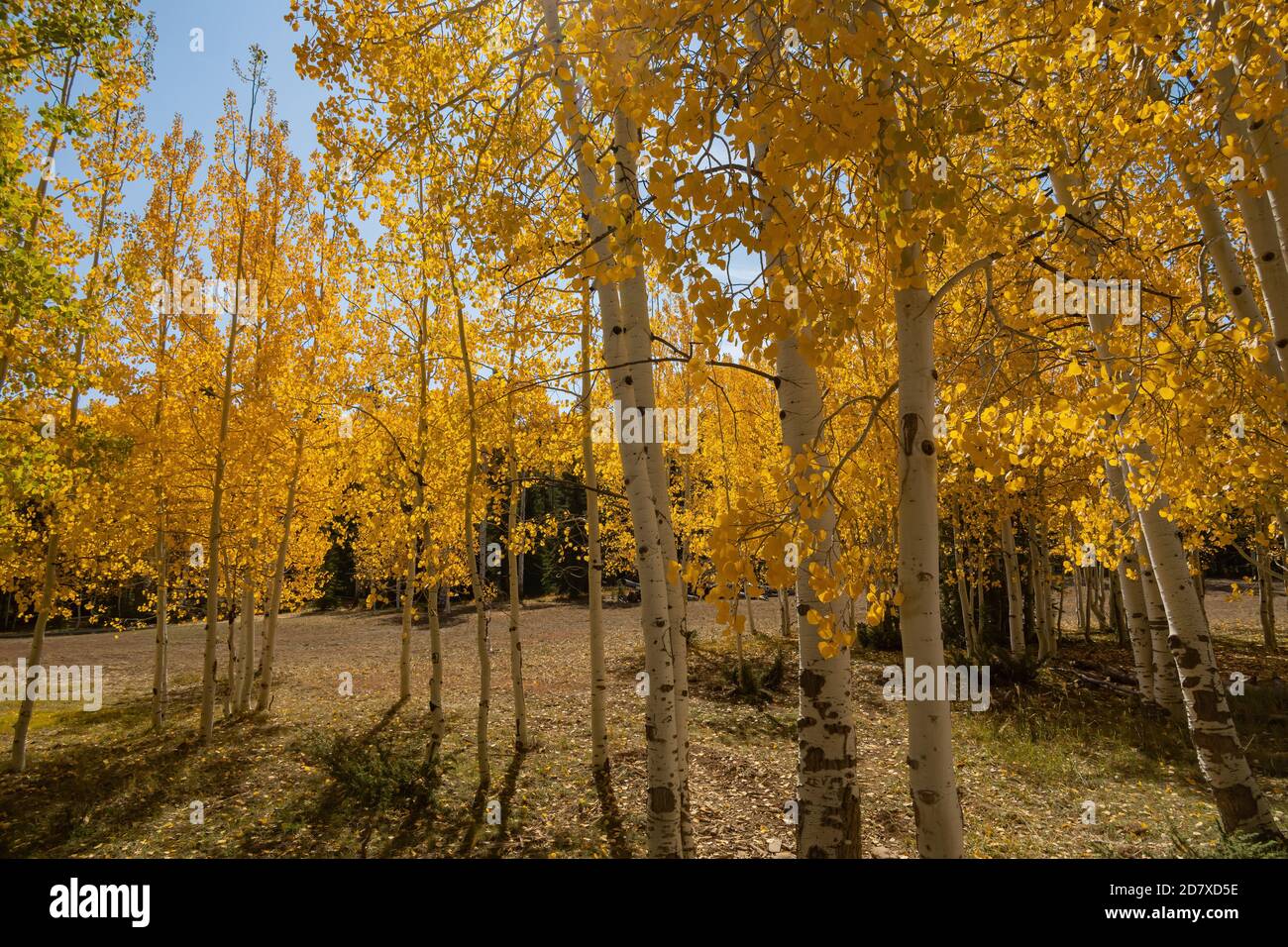 Strawberry point road hi-res stock photography and images - Alamy