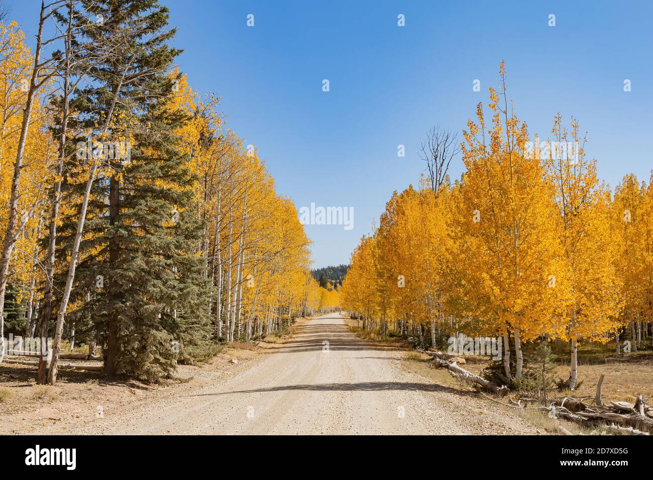 Strawberry point road hi-res stock photography and images - Alamy