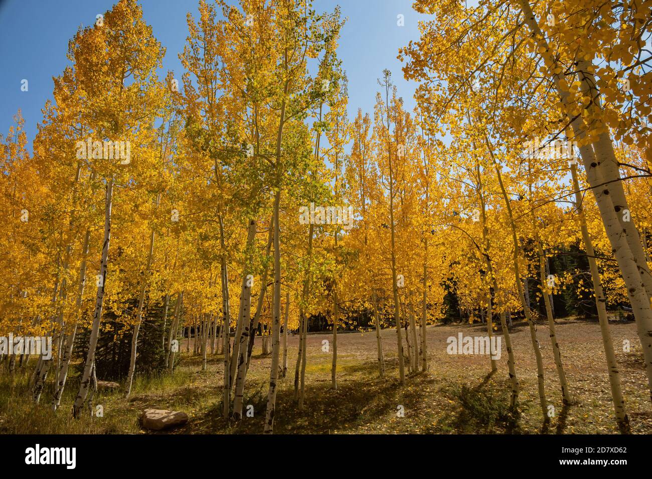Strawberry point road hi-res stock photography and images - Alamy