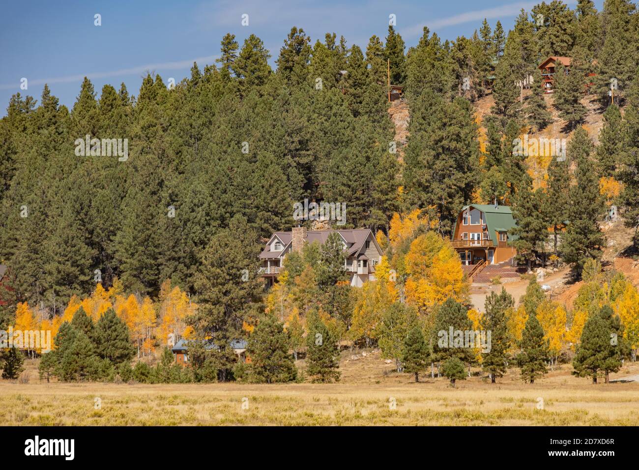 Beautiful sunny fall color around Strawberry Point Road at Utah Stock ...
