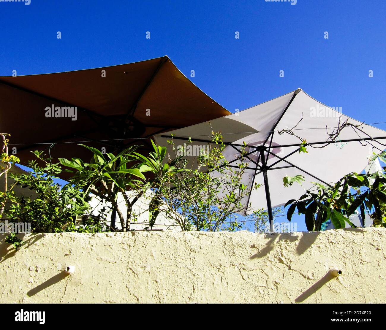 Roof Top Sun Brollies, Crete, Greece Stock Photo - Alamy