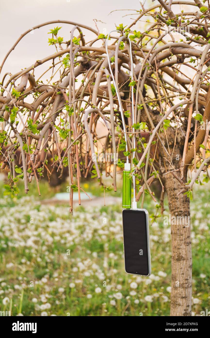 Smartphone and external power bank on the branches of a tree while ...