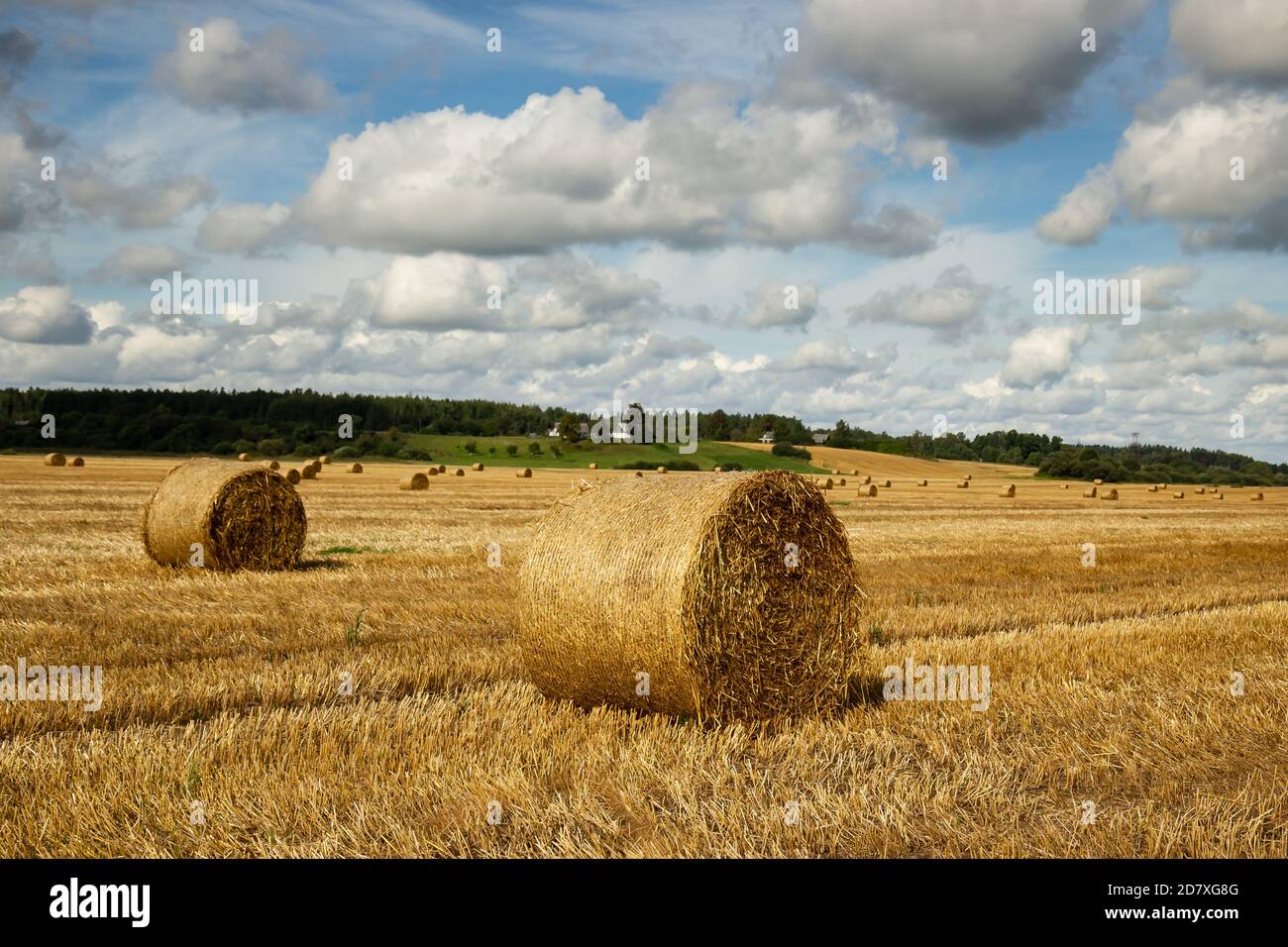 Harvesting rolls hi-res stock photography and images - Alamy