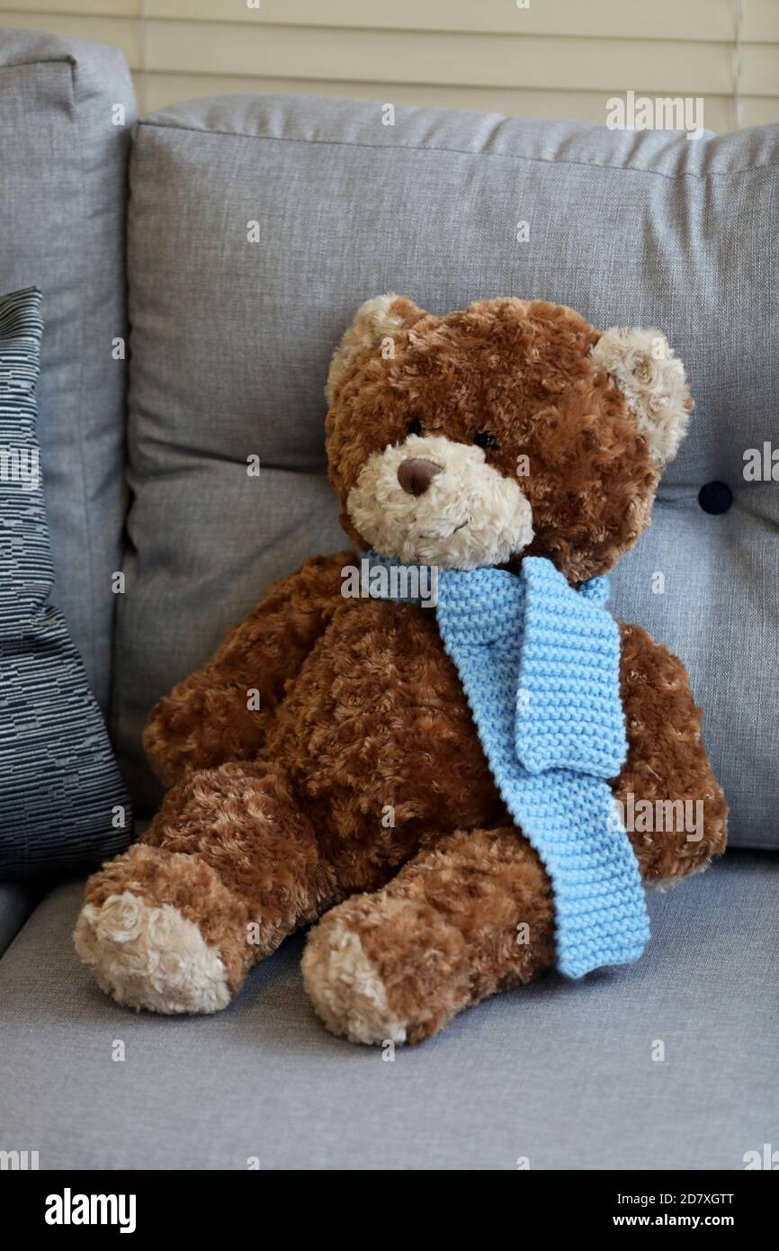 A big teddy bear pictured sat on a sofa in Hampshire, UK Stock Photo ...