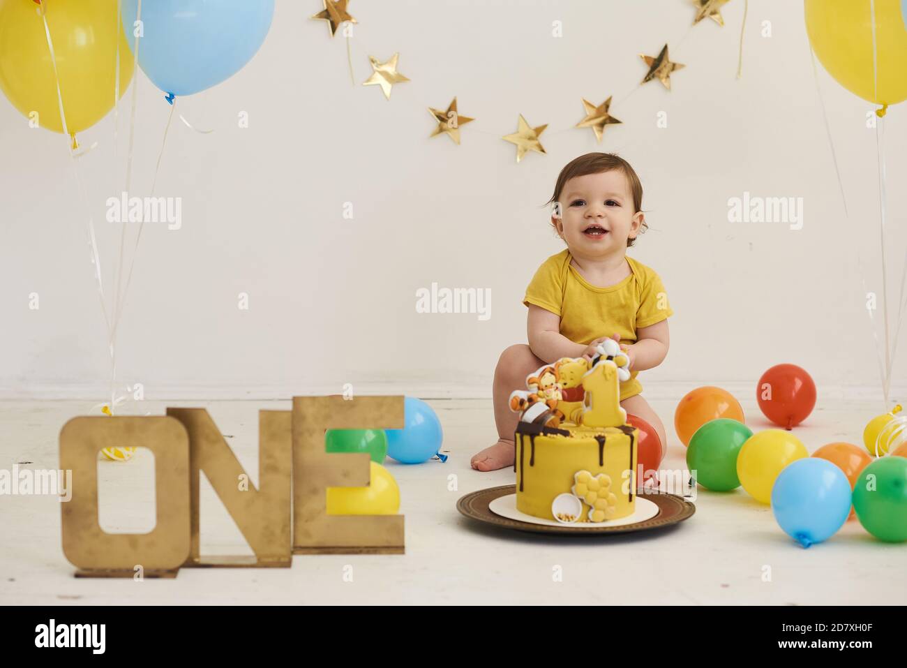 Portrait of cute adorable Caucasian boy celebrating his first birthday ...