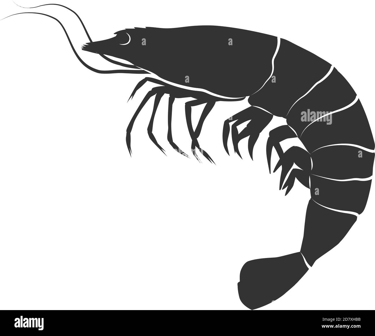 Shrimp icon. Vector concept illustration for design Stock Vector Image ...