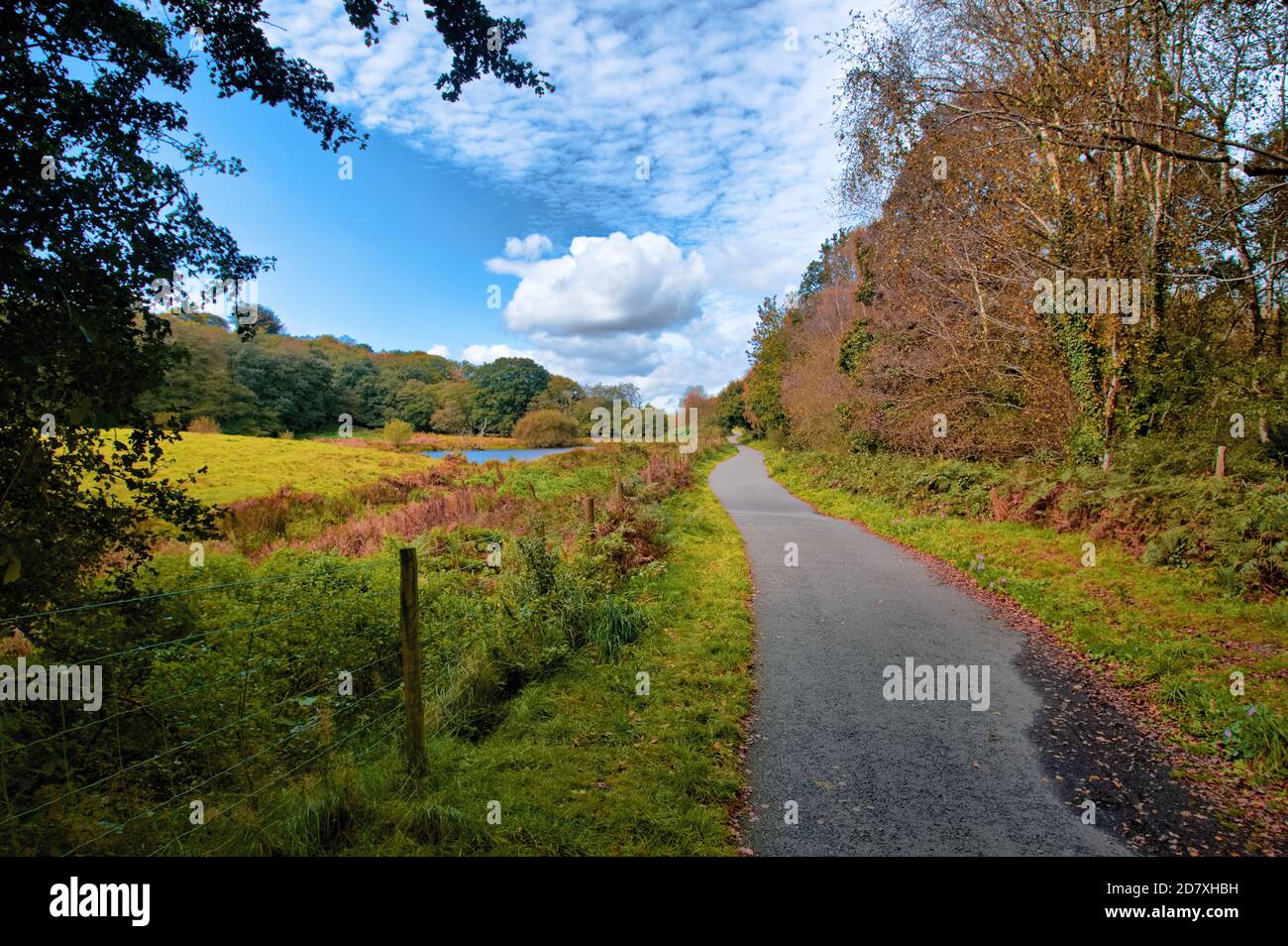 Penallta Park Walkway Stock Photo - Alamy