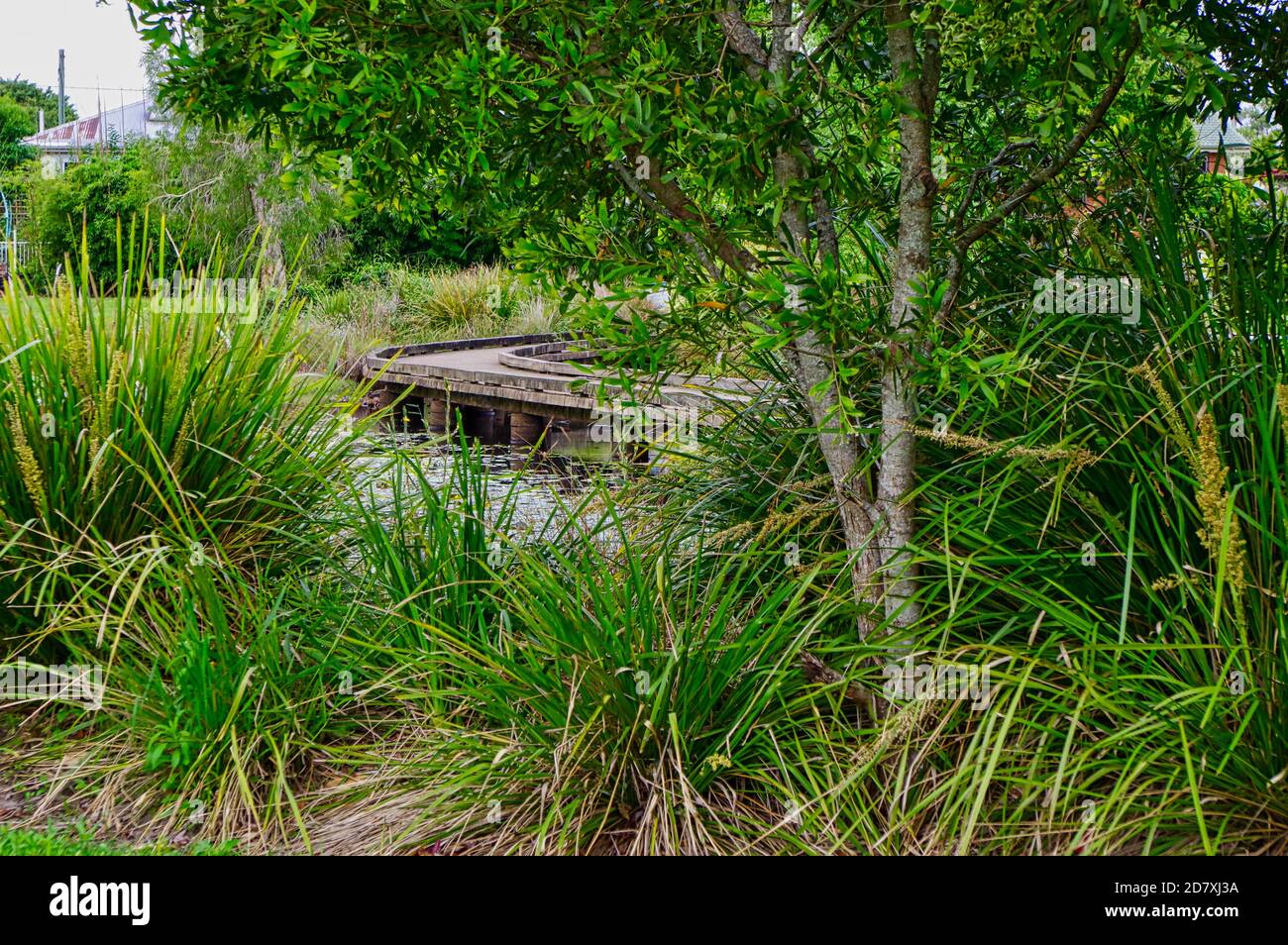 Lily ponds hi-res stock photography and images - Alamy