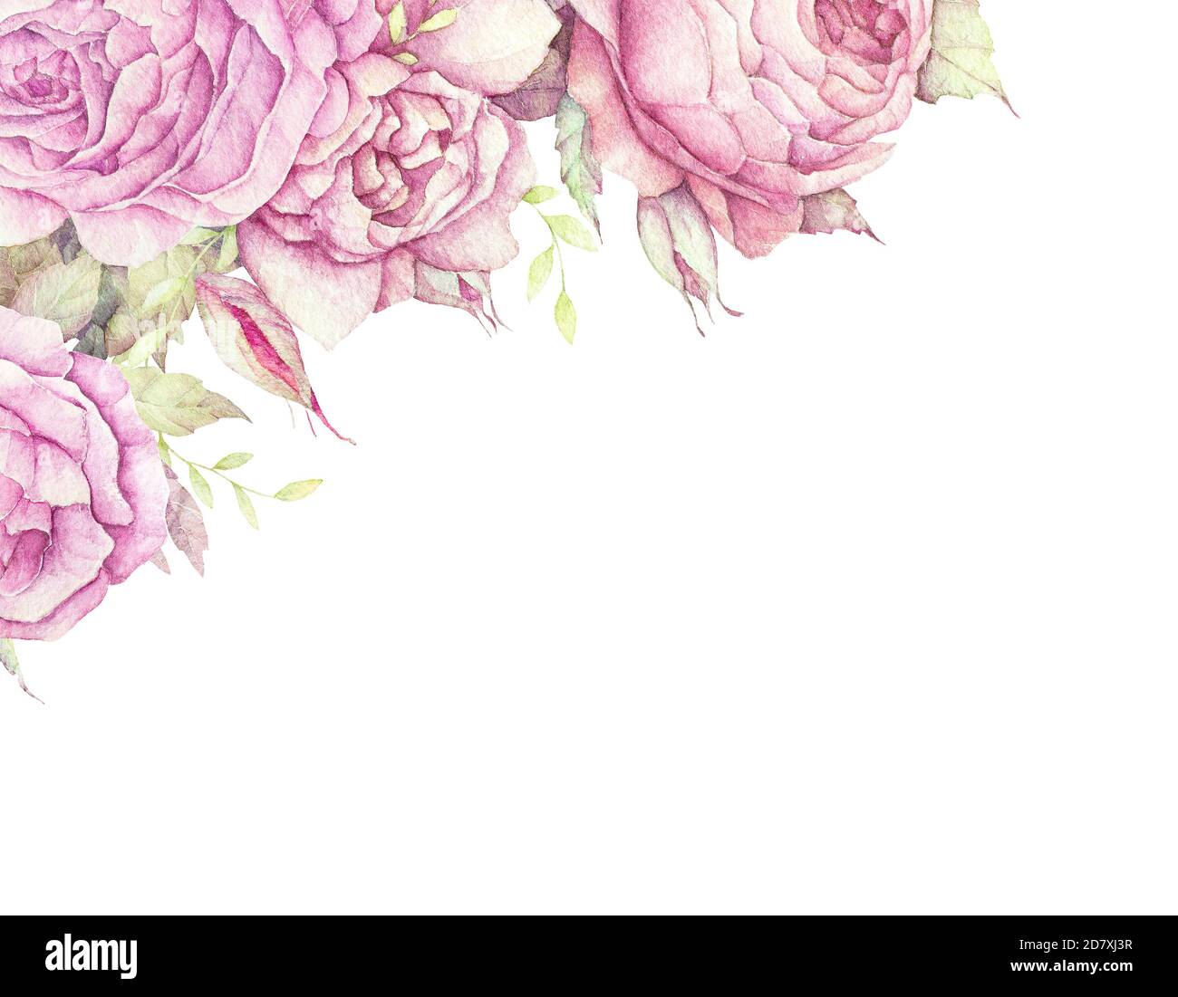 Floral border. Wedding Invitation decor. Watercolor Peonies Roses Buds ...