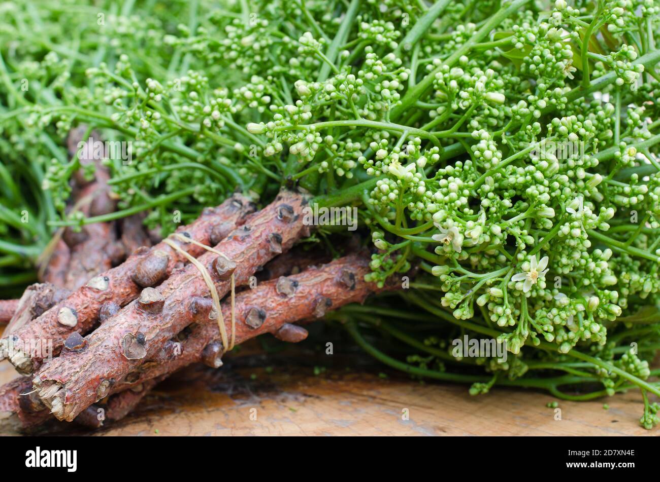 Organic Neem from Natural Farm Stock Photo - Alamy