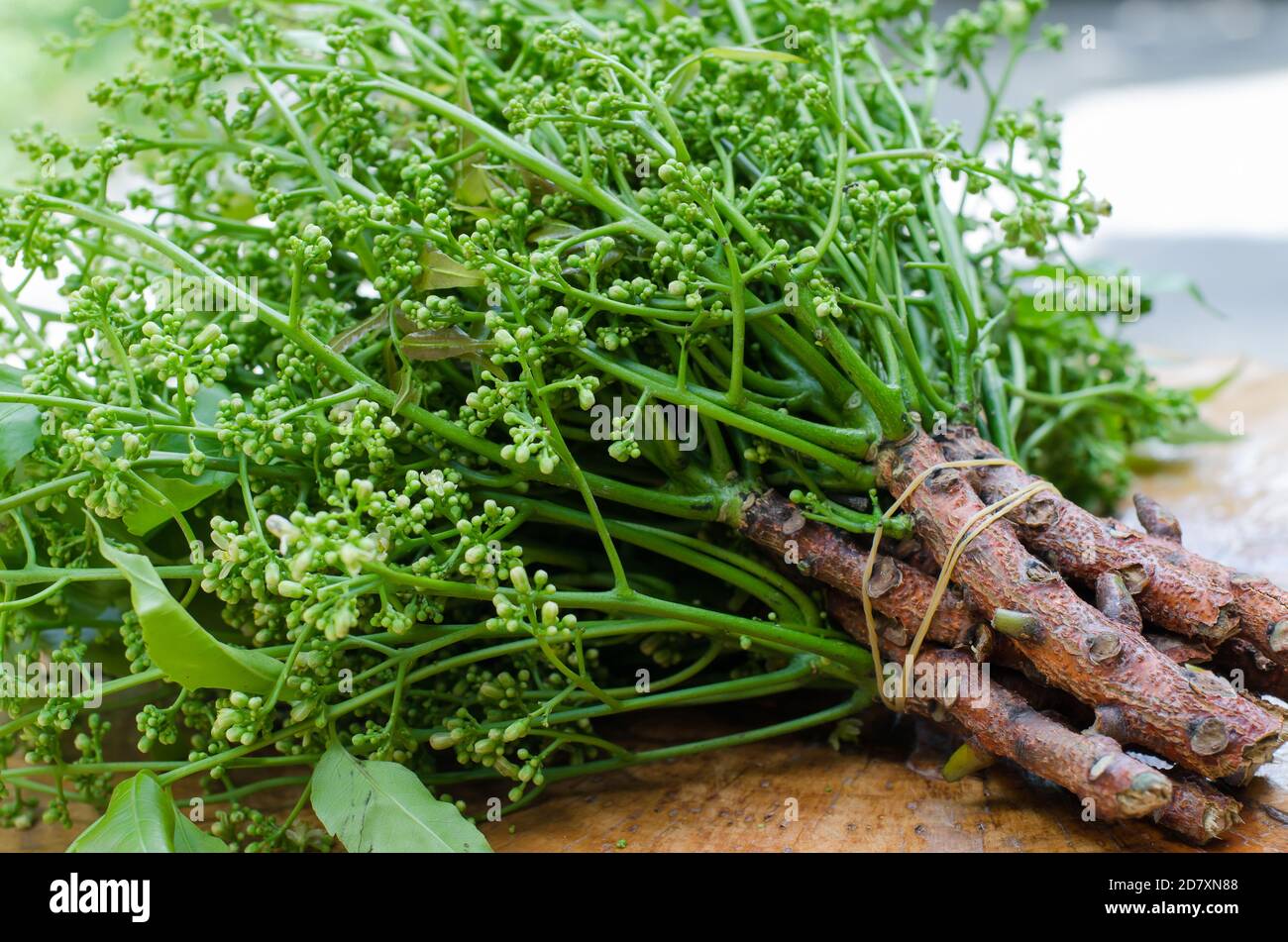Organic Neem from Natural Farm Stock Photo - Alamy