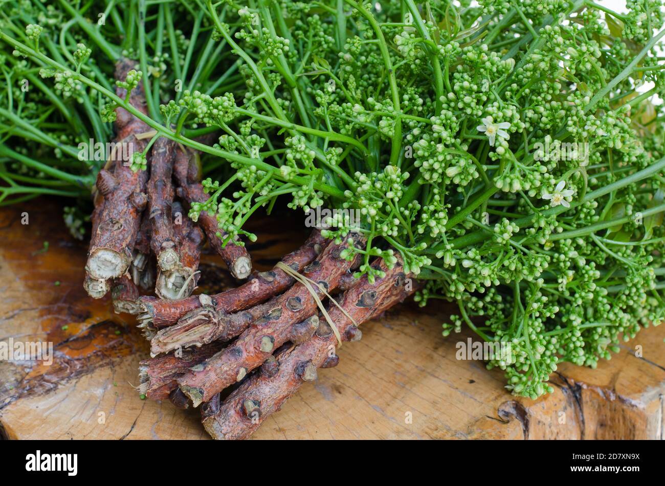 Organic Neem from Natural Farm Stock Photo - Alamy