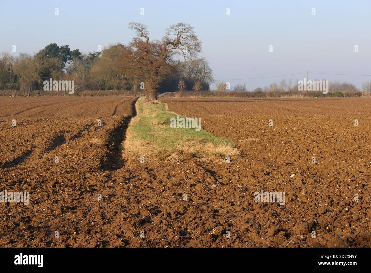 Old hedge hi-res stock photography and images - Alamy