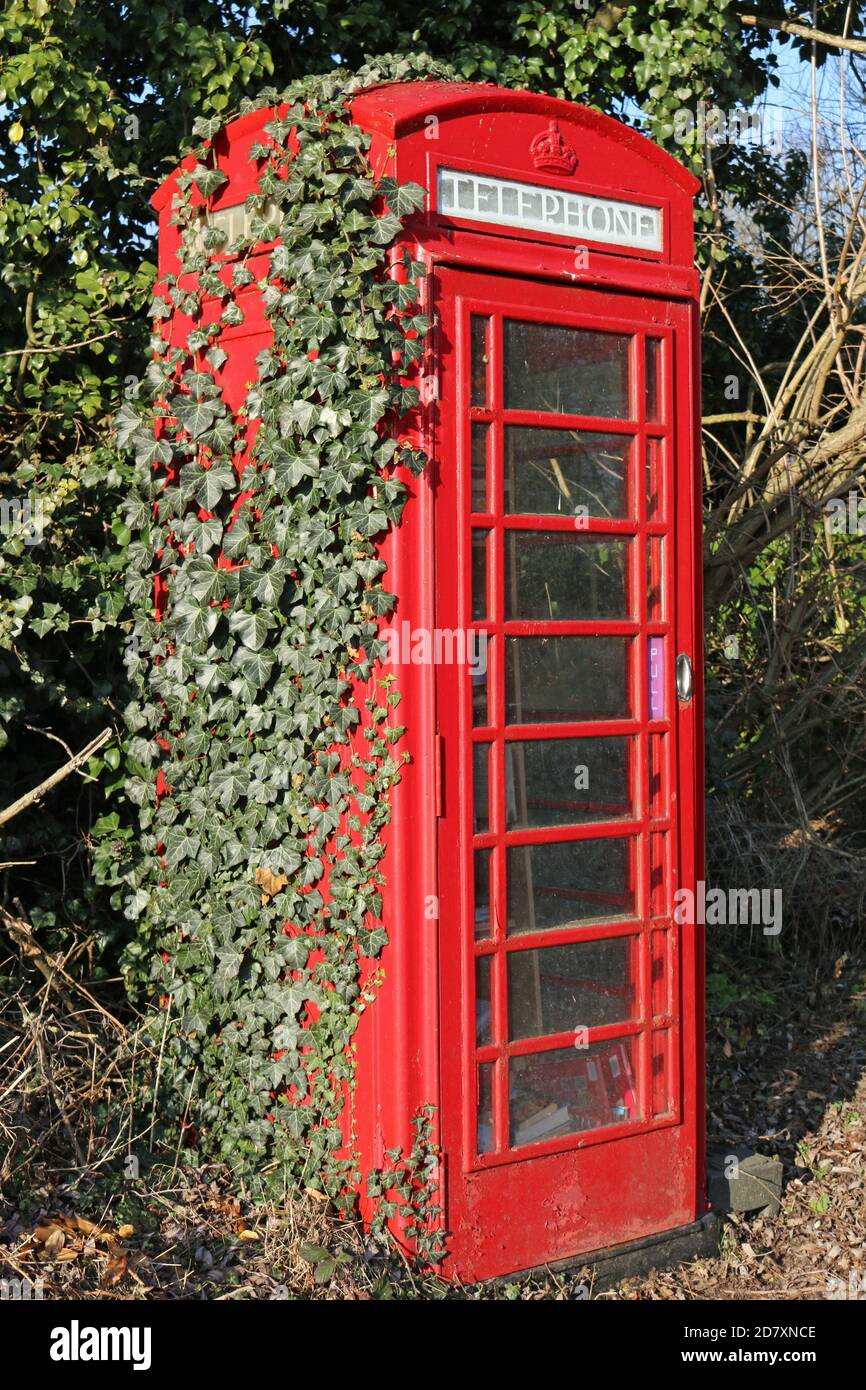 Red British disused telephone box in rural location repurposed as a ...