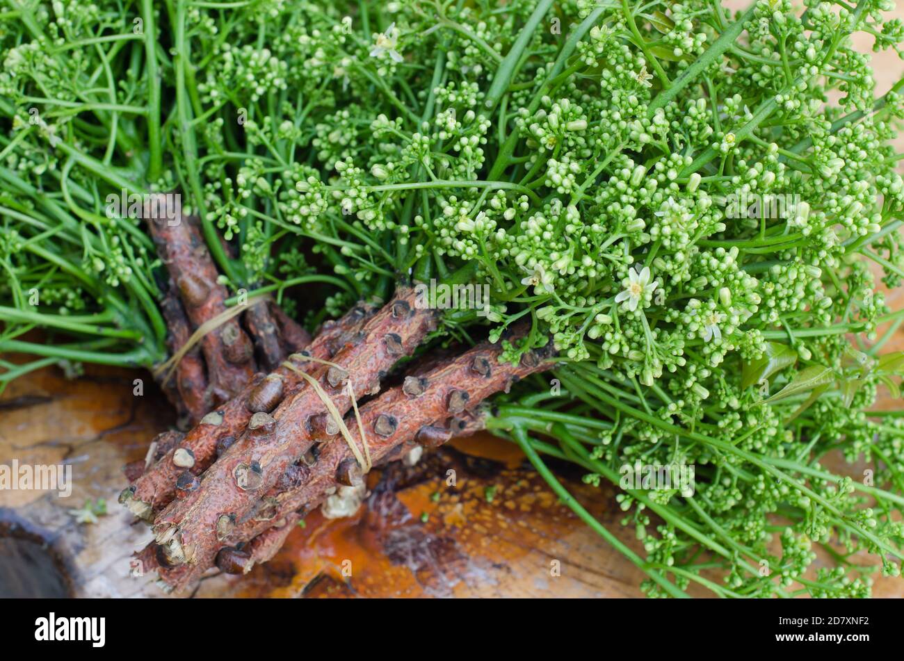 Organic Neem from Natural Farm Stock Photo - Alamy