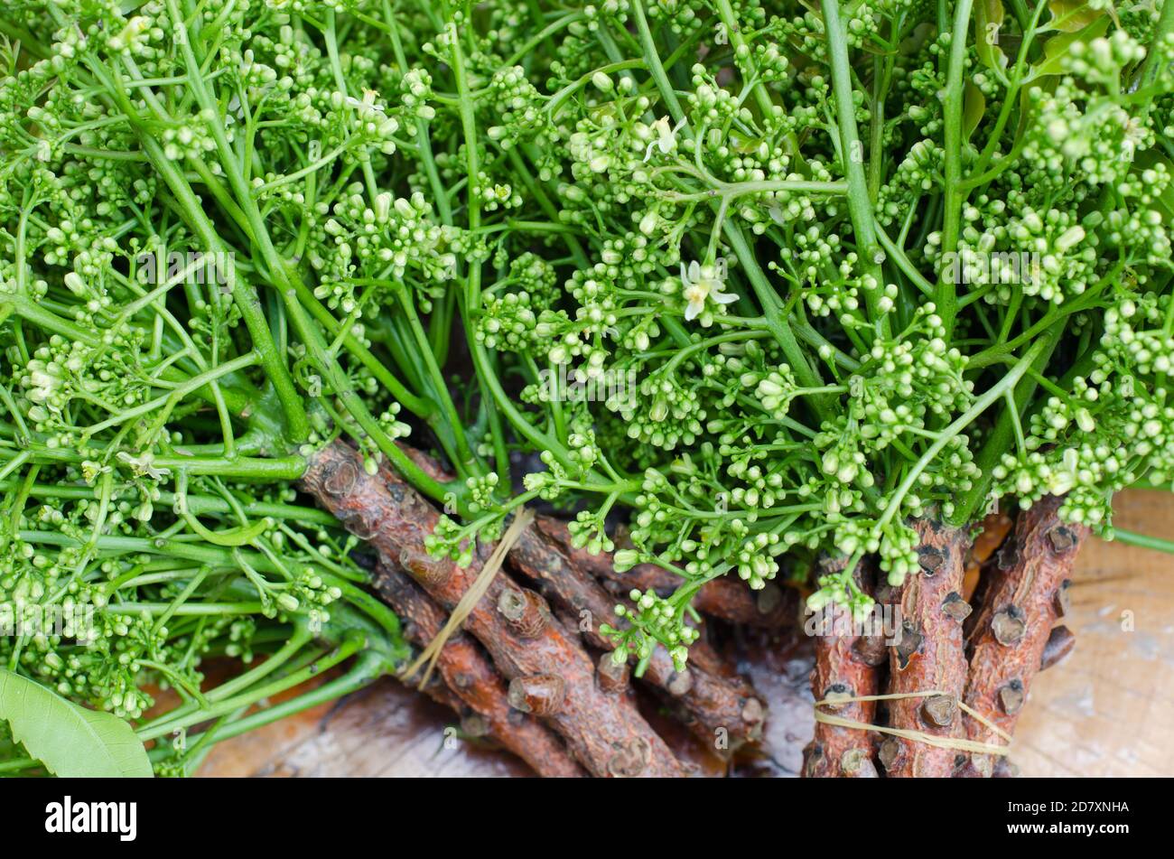 Organic Neem from Natural Farm Stock Photo - Alamy