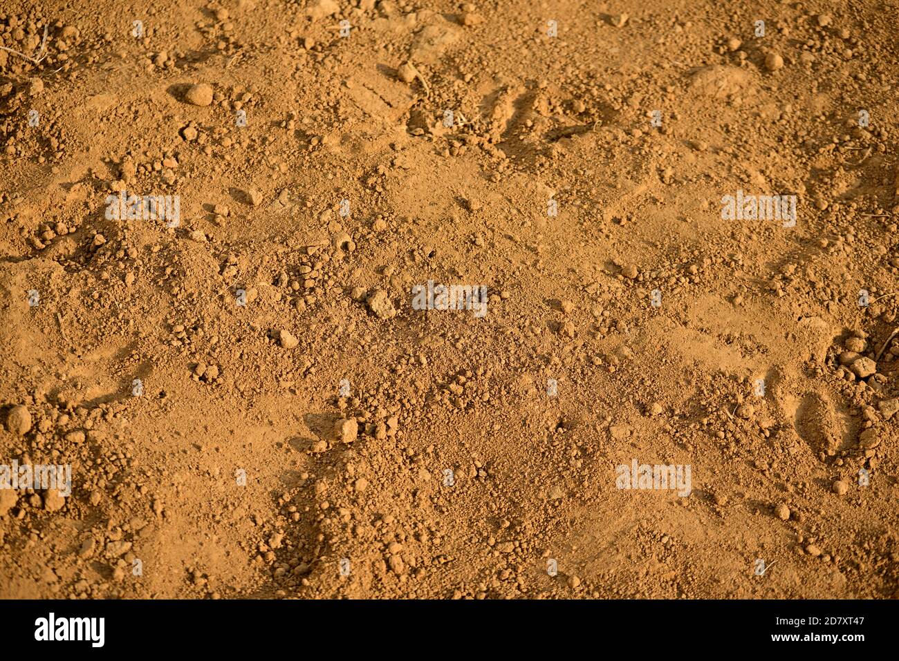 Soil soil texture background in garden Stock Photo - Alamy