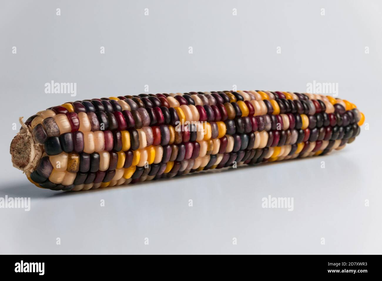 Multi colored corn hi-res stock photography and images - Alamy