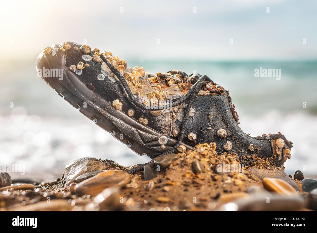 Concept of environmental protection and pollution. An old Shoe, covered ...