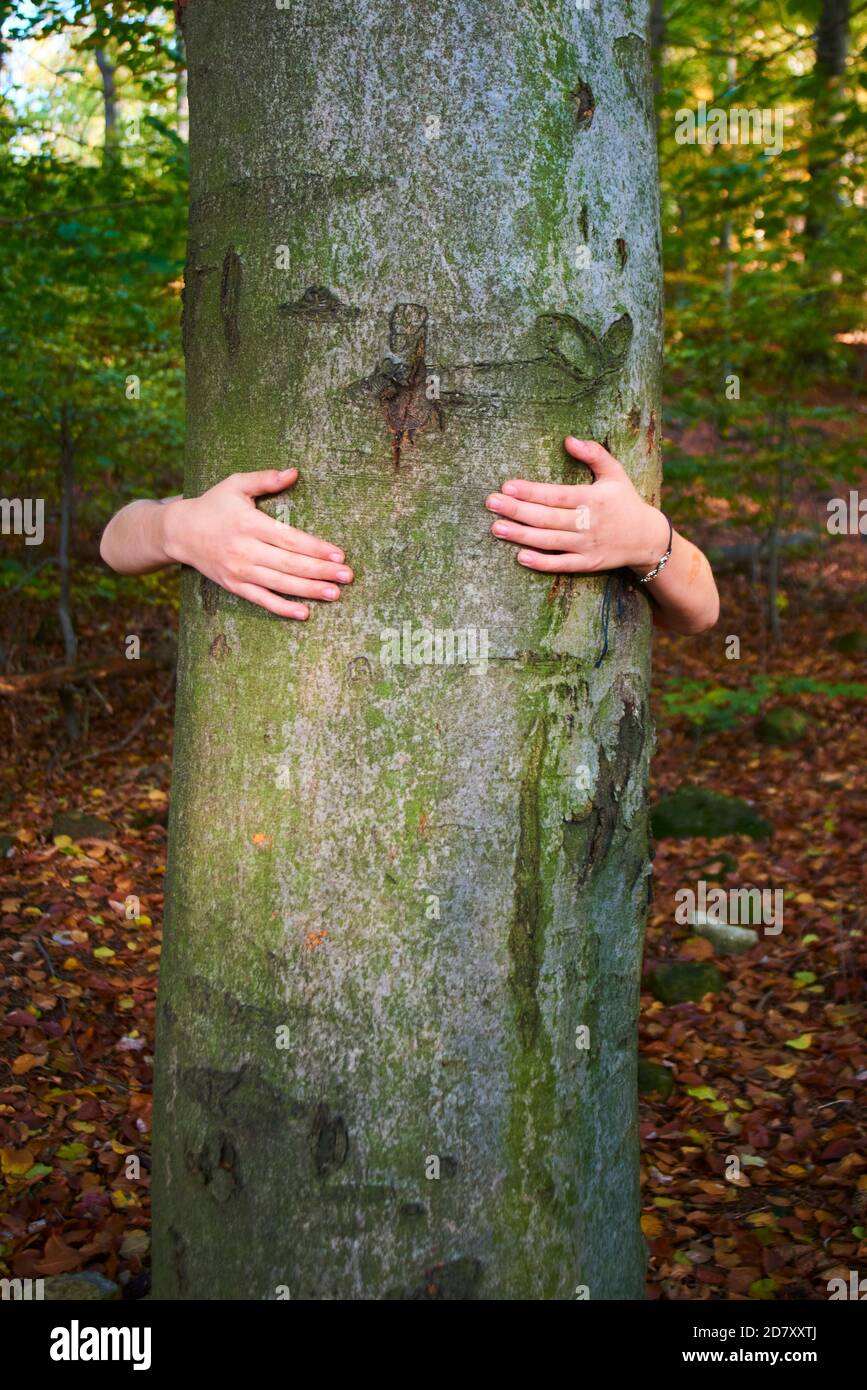 Child hug tree hi-res stock photography and images - Alamy