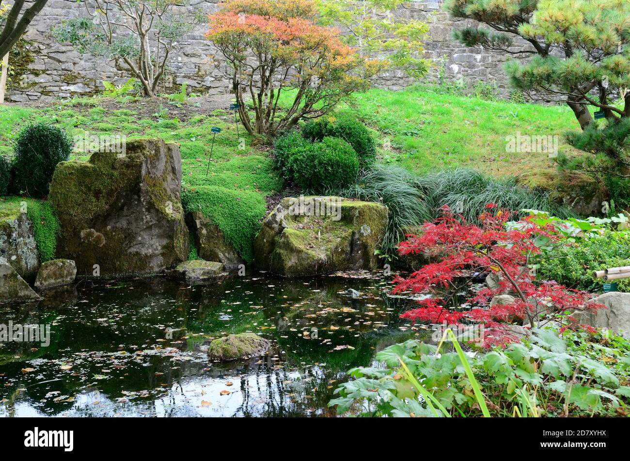 Water feature at the Japanese Garden national Botanical Garden of Wales ...