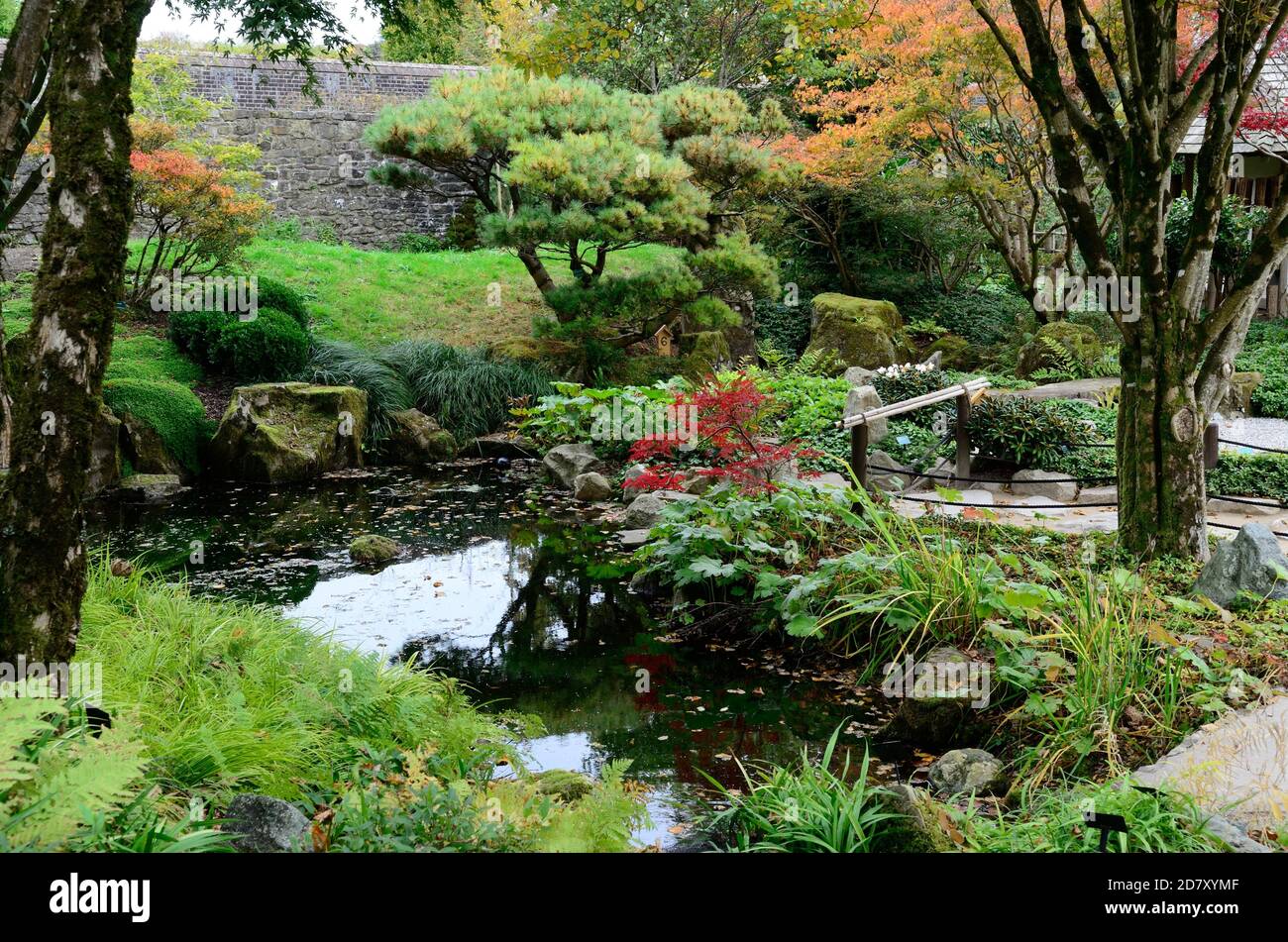 Water feature at the Japanese Garden national Botanical Garden of Wales ...